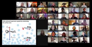 About - Engineering Ambassadors Network