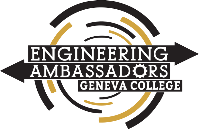 Engineering Ambassadors Network – Developing Diverse Leaders Today ...