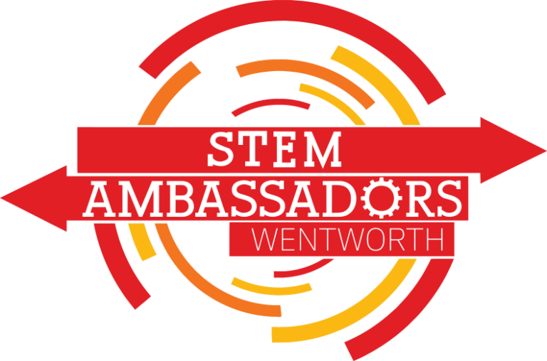 Engineering Ambassadors Network – Developing Diverse Leaders Today; Inspiring Engineers for Tomorrow