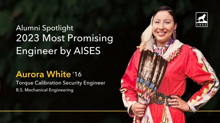 Alumni – Engineering Ambassadors Network